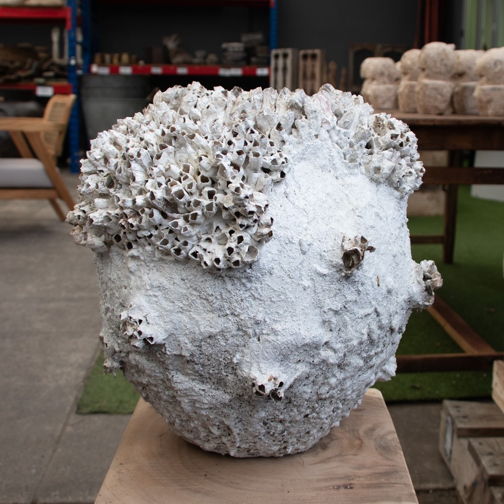 Barnacle Vase - Accessories, Trays & Design Objet, Vases & Baskets ...