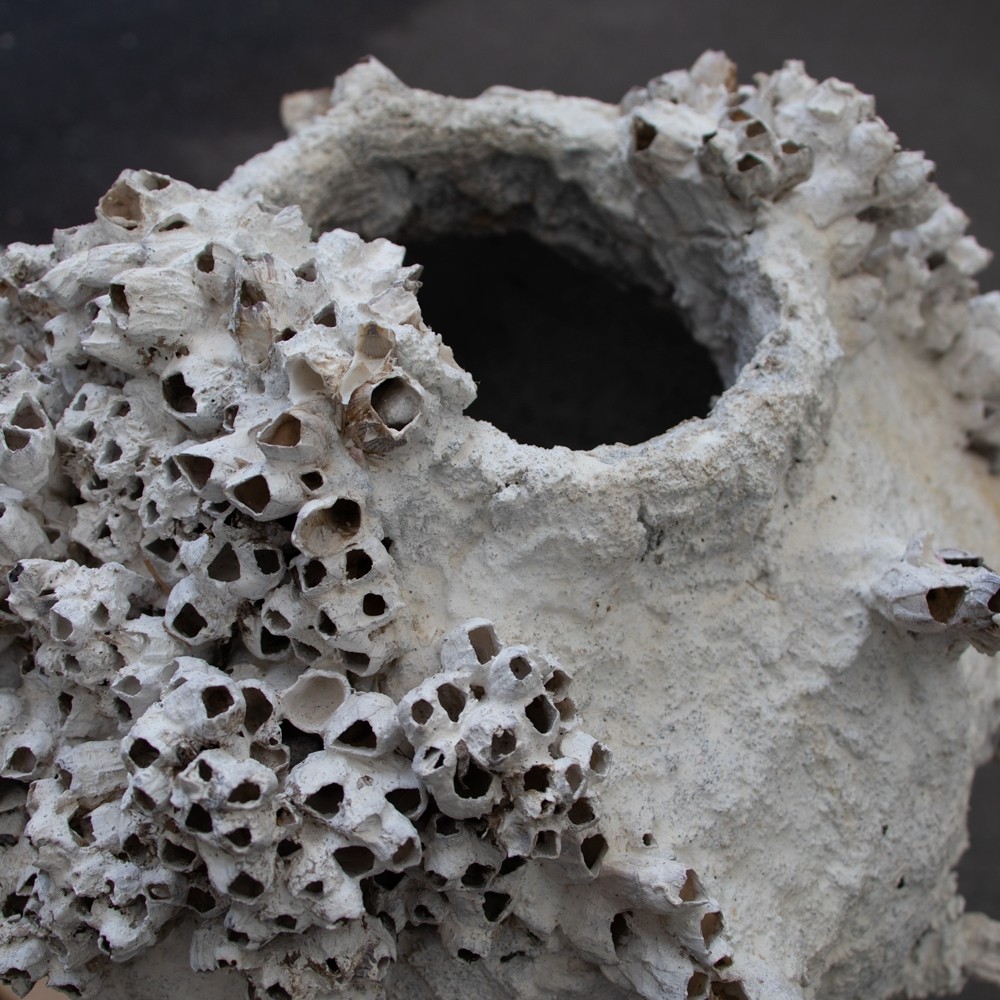 Barnacle Vase - Accessories, Trays & Design Objet, Vases & Baskets ...